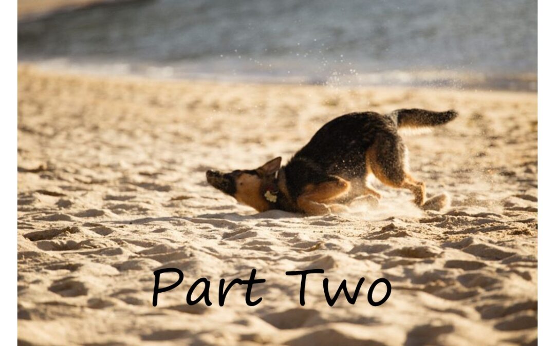 Reflection: You Can Stumble But You Won’t Fall – Part Two - Time with ...